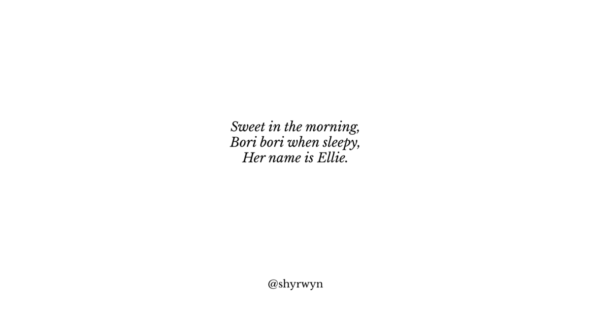 My First Haiku Dav And Shy We Write